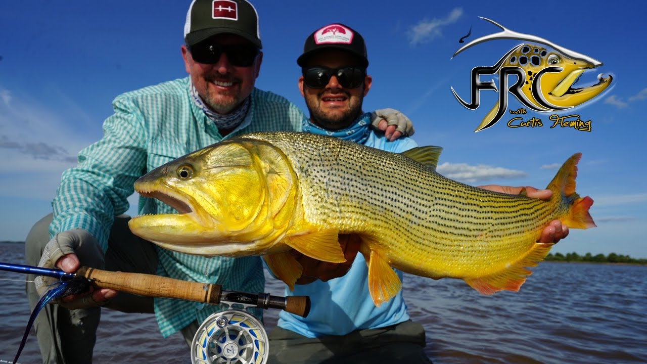 Golden Dorado Fly Fishing