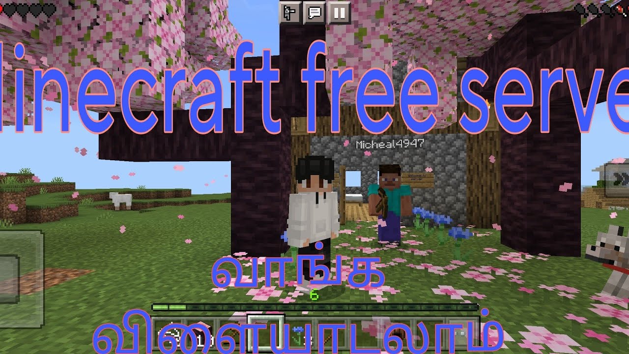 Minecraft free server வாங்க விளையாடலாம் 🫂 - YouTube