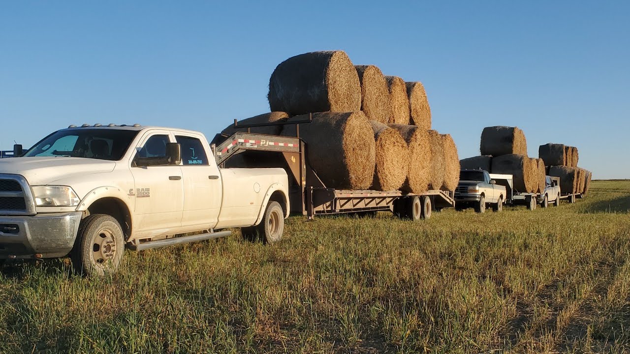 Gettin The Bales Hauled In @ Straight Pipe Acres 🤪 👍👌 - YouTube