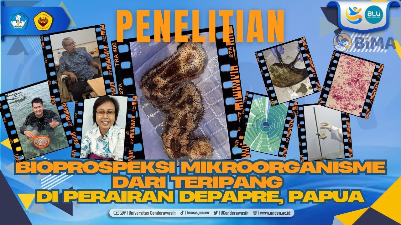 Bioprospeksi Mikroorganisme dari Teripang di Perairan Depapre, Papua ...