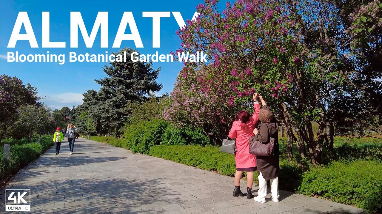 Almaty Blooming Botanical Garden in Spring Walk 4k, Kazakhstan - YouTube