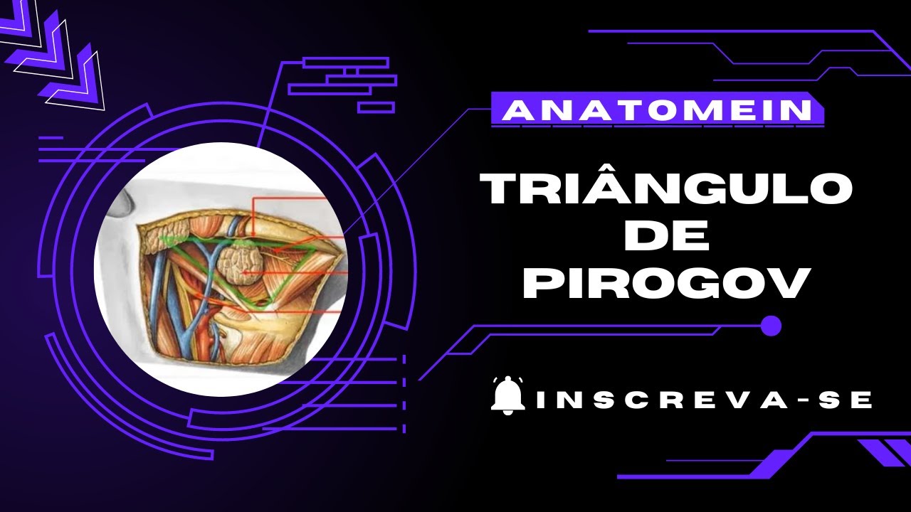 (Trígono) Triângulo de Pirogov ou Triângulo de Pinaud - YouTube