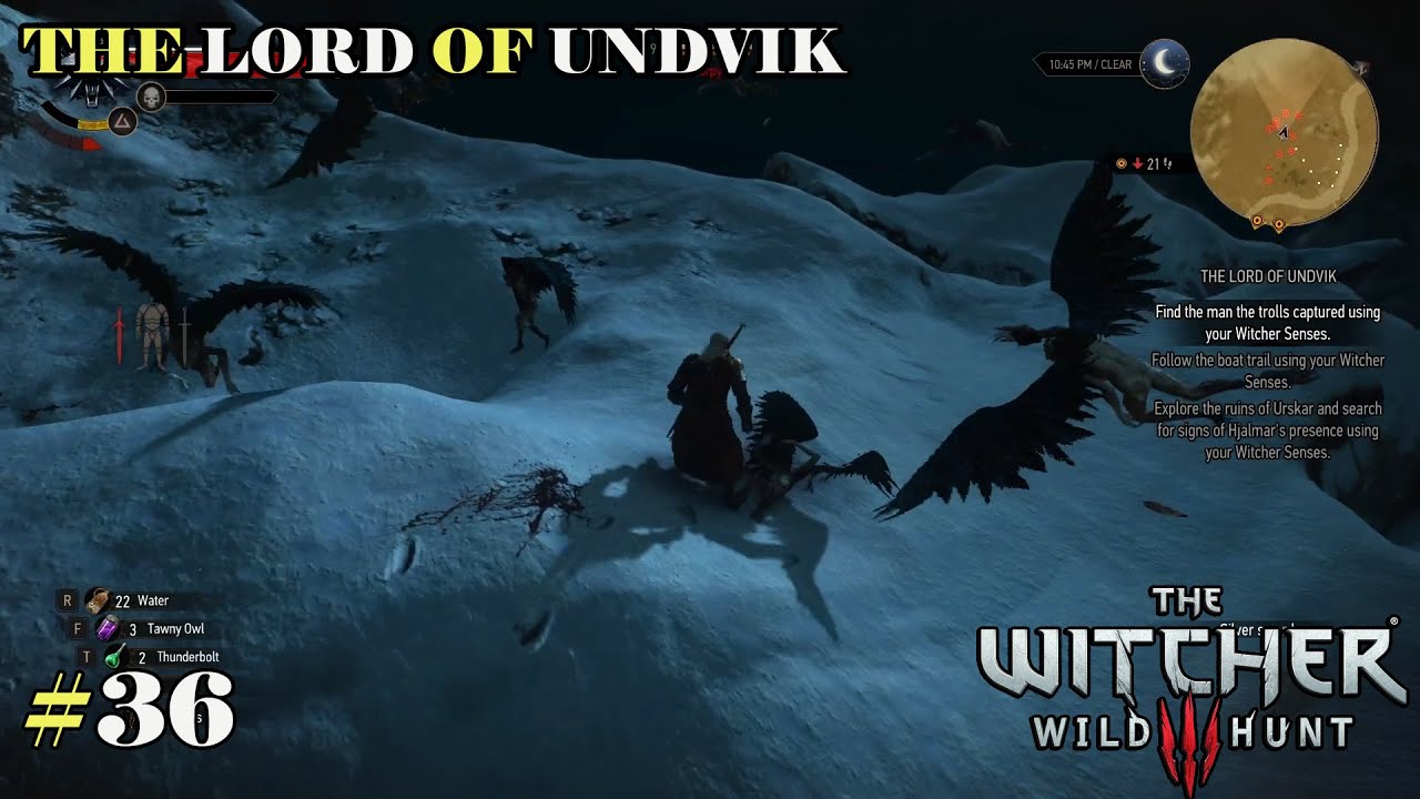 The Witcher 3: Epic Hunt for the Lord of Undvik | Battling Harpy Beasts ...