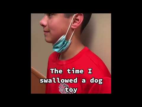 The time I swallowed a dog toy