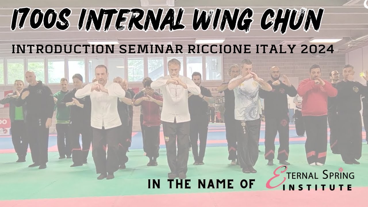 1700s Internal Wing Chun Introduction Seminar Riccione Italy Youtube