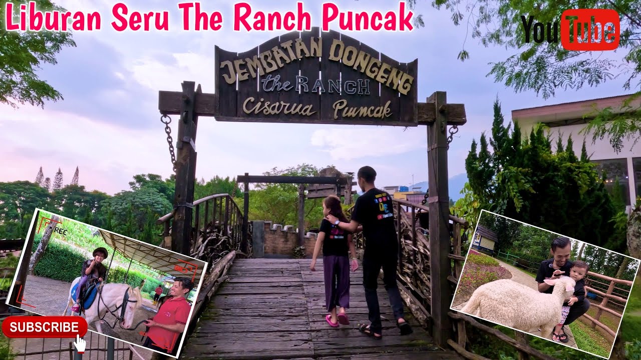 Seru !!! Berkuda dan Feeding Animals Di The Ranch Cisarua Puncak - YouTube
