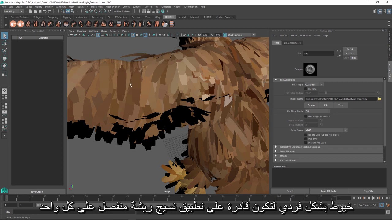 Ornatrix For Maya 101 Feather Texturing 1 - YouTube
