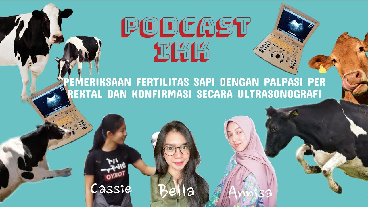 28Dp2 palpasi per rektal dan konfirmasi secara ultrasonografi UAS - YouTube