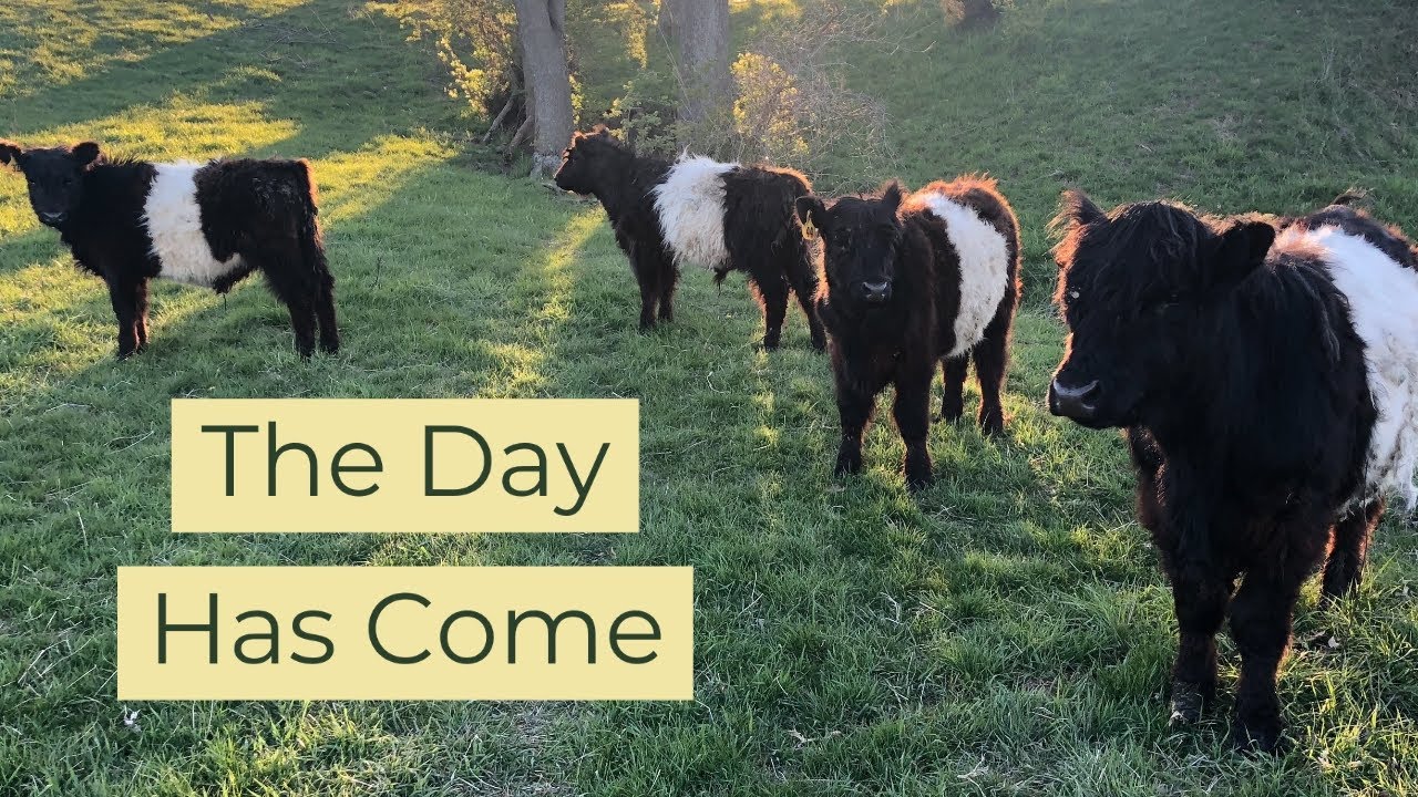 The Day Has Come YouTube the-day-has-come-youtube