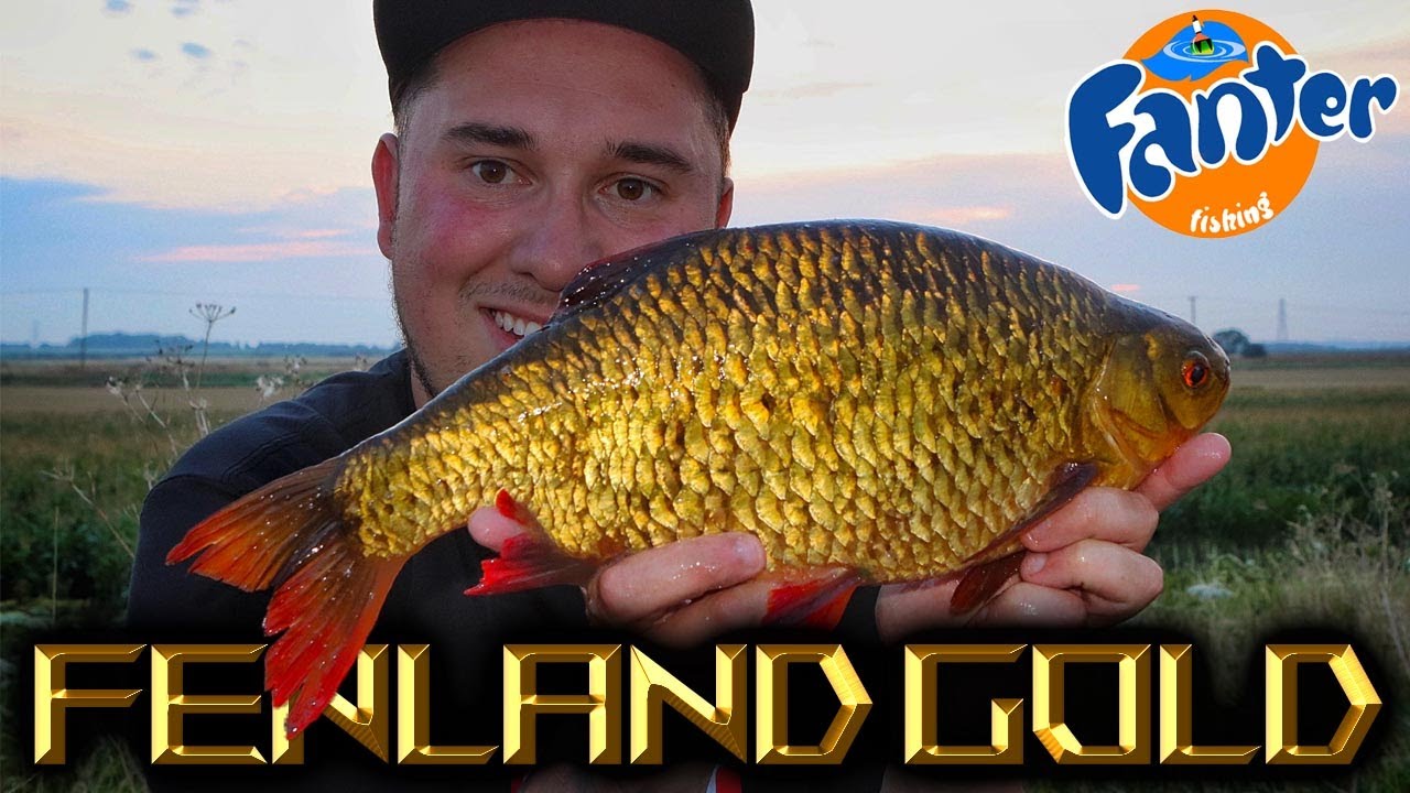 Fenland Gold - HUGE Rudd from the Drains - YouTube