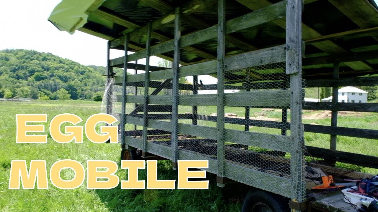 WE BUILT A MOBILE CHICKEN COOP | DIY - YouTube