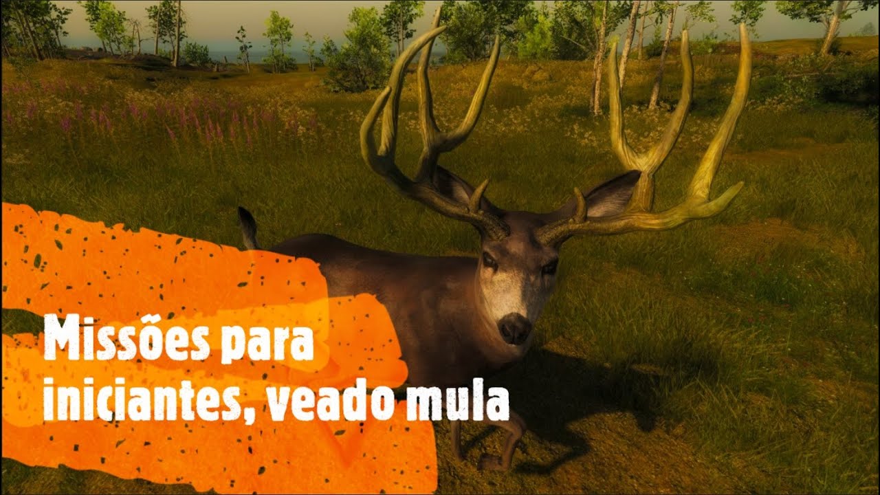 The hunter classic, missões para iniciantes, veado mula - YouTube