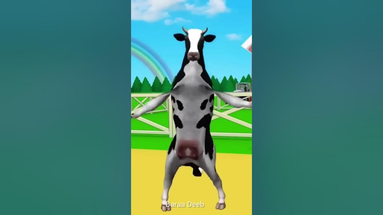 البقره الراقصه البقره الحلوب And The Big Cow Youtube