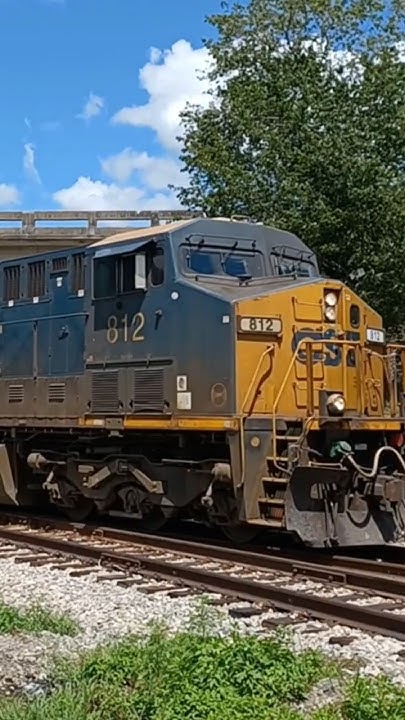 CSX train in Florida with a fouled K5HL on CSX ES44AH 812 7/18/25 - YouTube