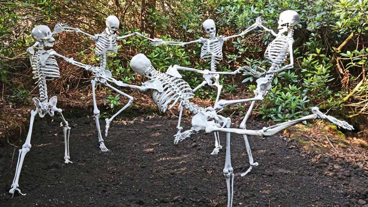 10 Mysterious Things Found In Forests - YouTube