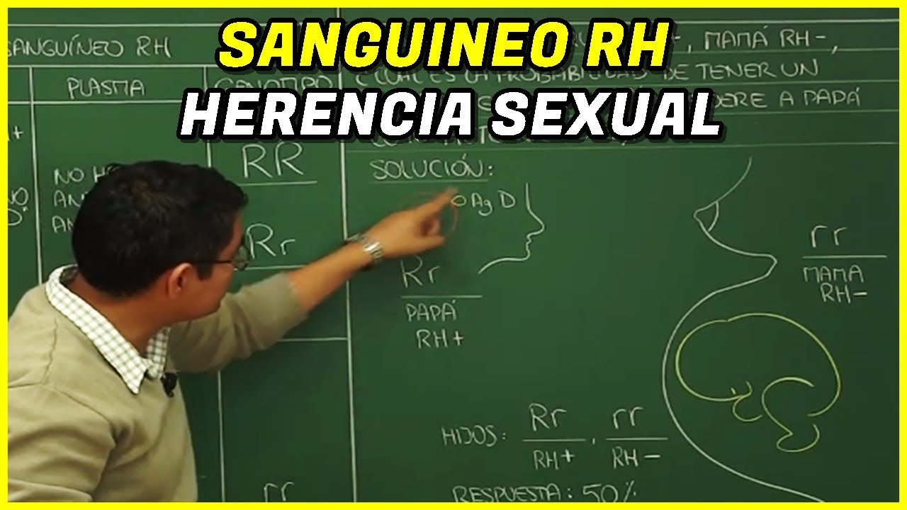 Genética IV: Herencia Sexual, Sanguineo RH - YouTube