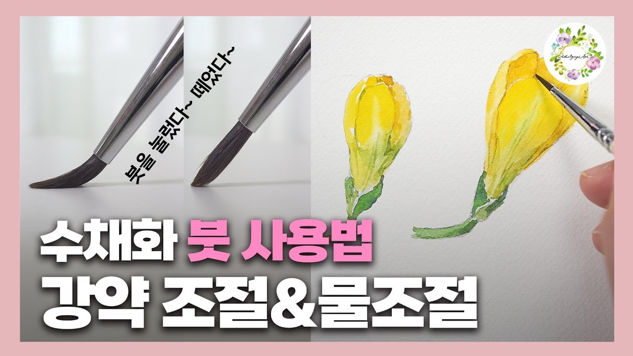 수채화 붓 어떻게 사용하면 더 잘 그릴 수 있을까 초보자 독학자를 위한 수채화 수업물고기아트 Youtube