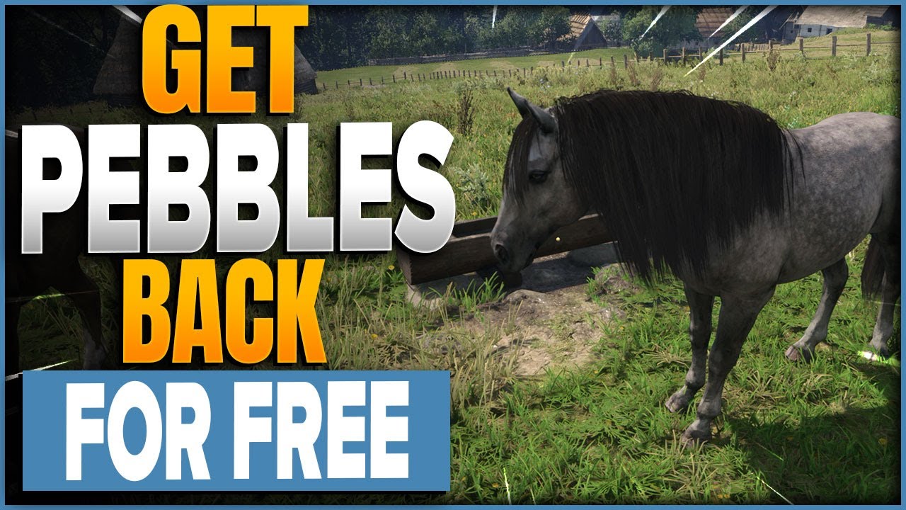How To Get Pebbles Back For FREE In Kingdom Come Deliverance 2 - YouTube