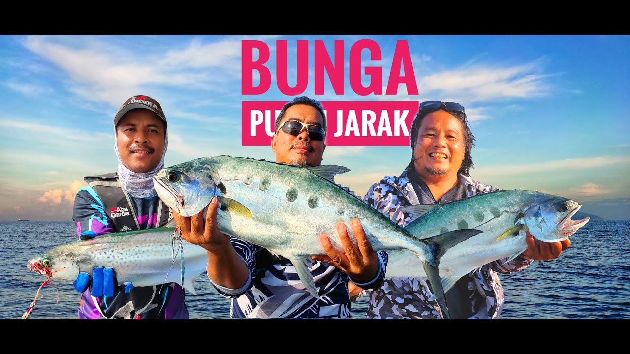 TRIP JARAK MAIN BUNGA | FISHING | JIGGING | TENGGIRI BUNGA | TONGKOL ...