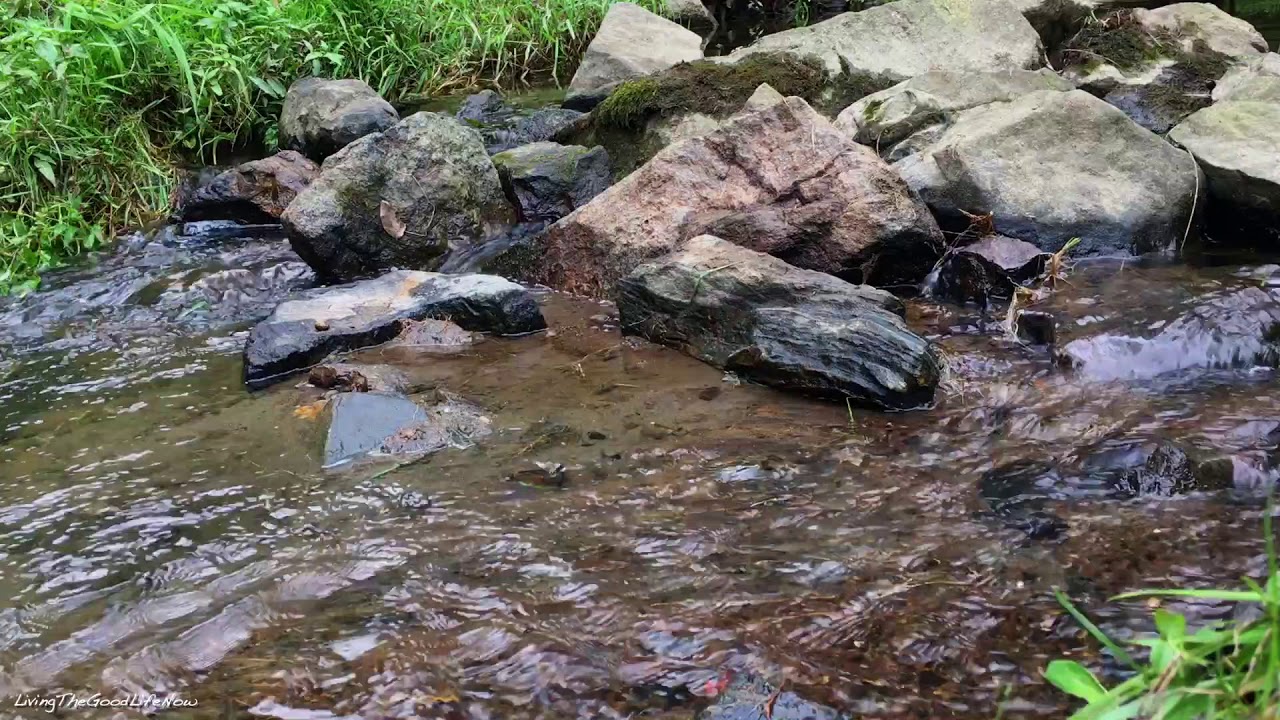 1 Hour NO ADs Babbling Brook ASMR Sleep Study To Trickling Water Stream ...