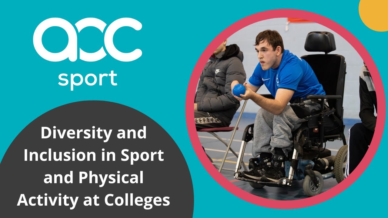 Diversity and Inclusion of Sport and Physical Activity offers at ...