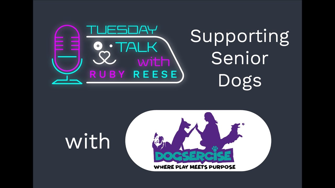 Tuesday Talk with Ruby Reese - Supporting Senior Dogs - YouTube