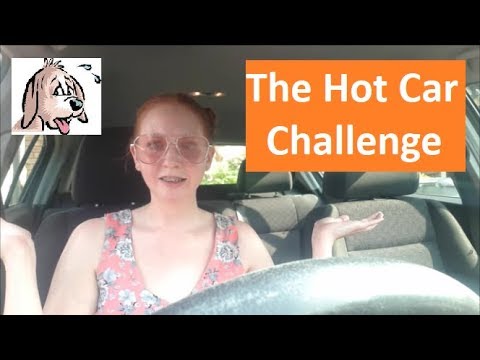 The Hot Car Challenge - YouTube