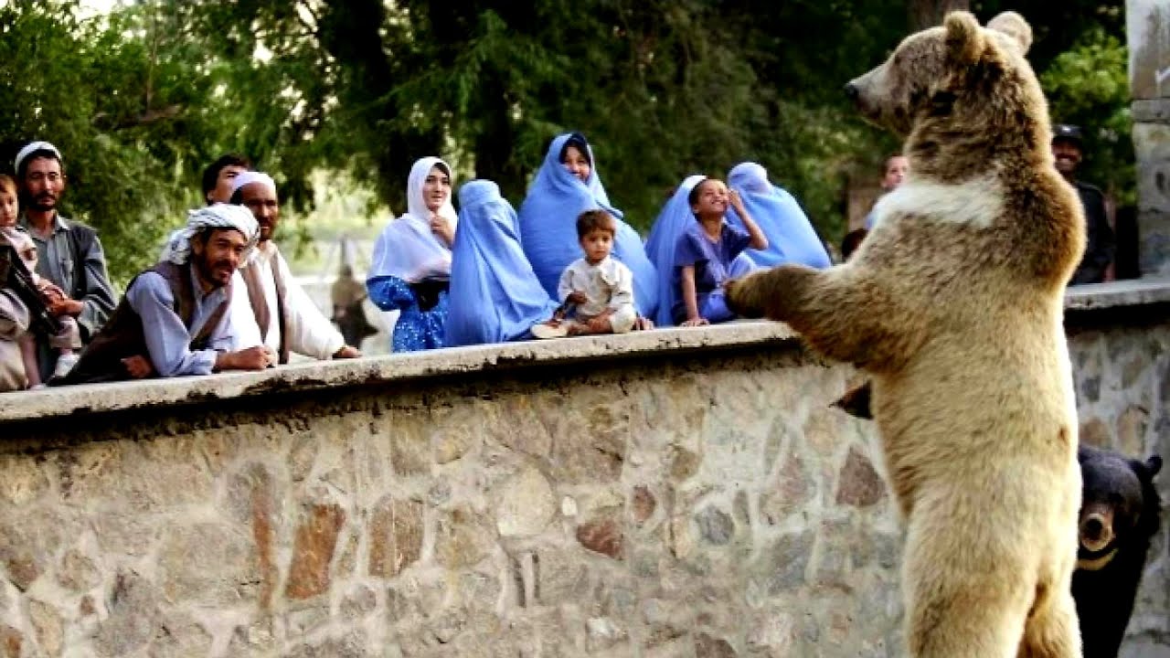 Hayvonot bog'i Mozori Sharif Afg'onistan da | Ҳайвонот Боғи - YouTube