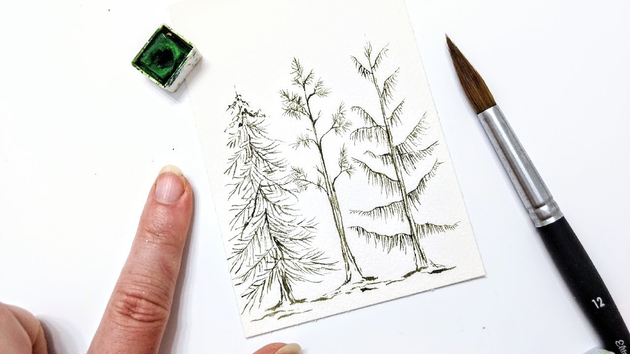3 TYPES OF PINE TREES Real time watercolor pine tree techniques » How ...