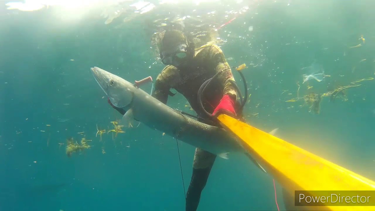Spearfishing Philippines (Cebu South)#1 - YouTube