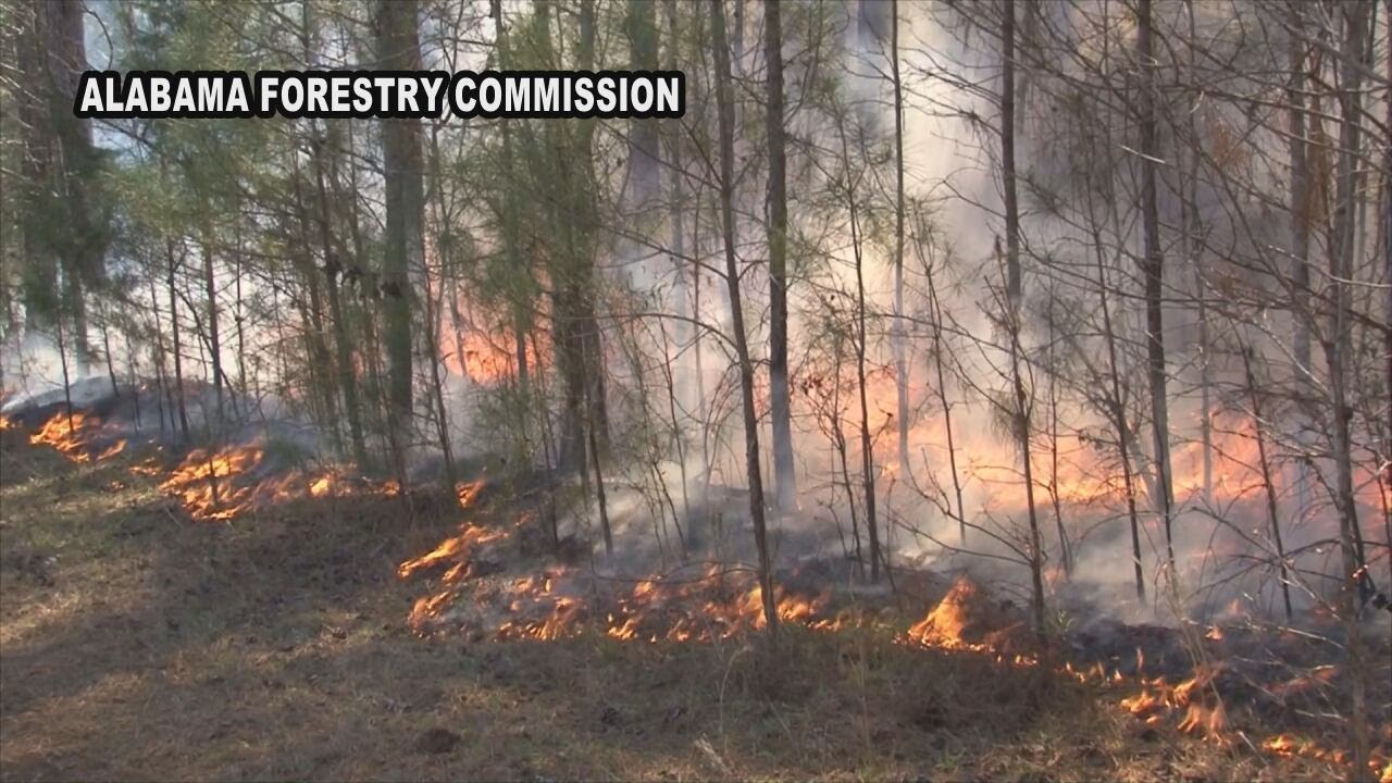 Fire Alert issued in southwest Alabama - YouTube