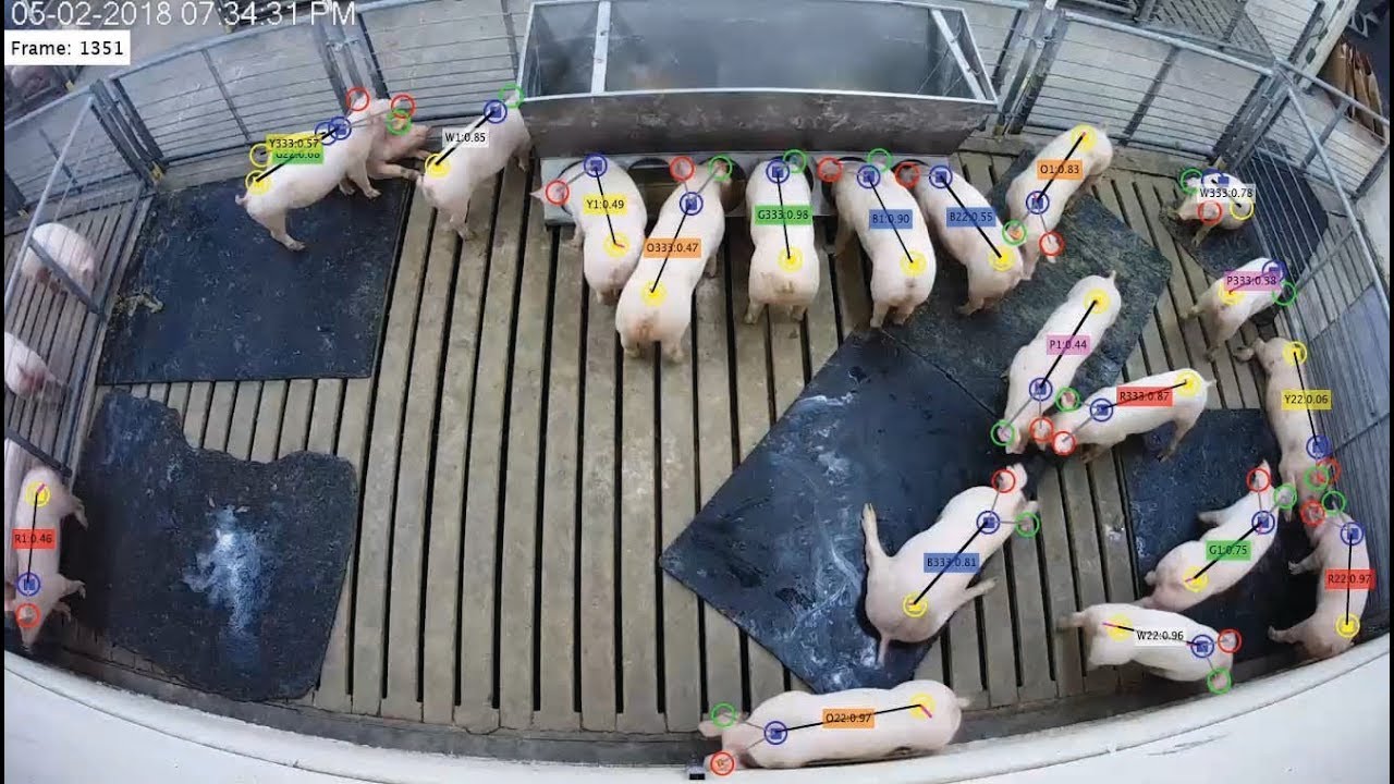 Monitoring System to Track Livestock - YouTube