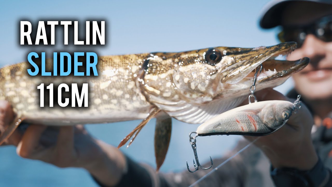RATTLIN SLIDER - YouTube