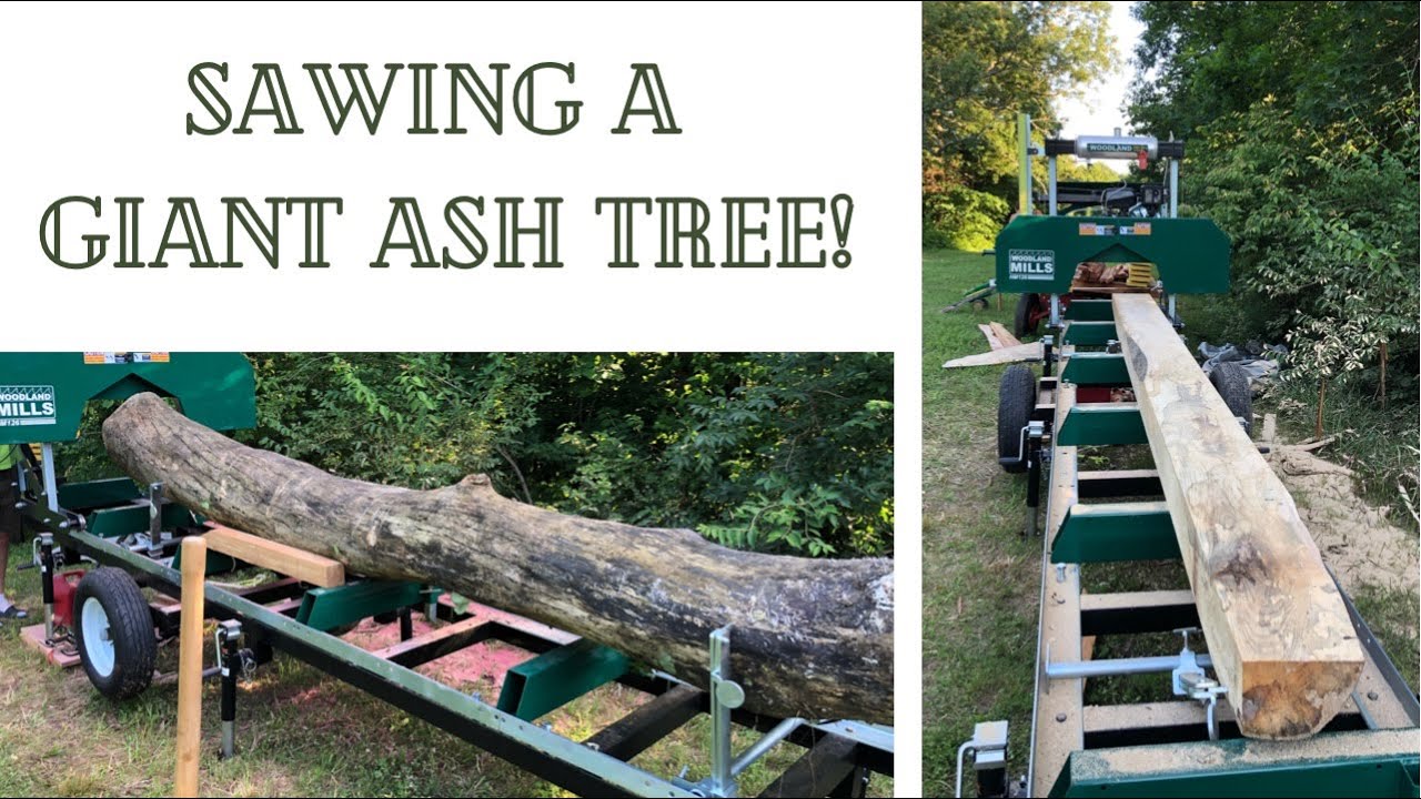 Can You Saw a Crooked Log on the Woodland Mills HM126 Sawmill ...