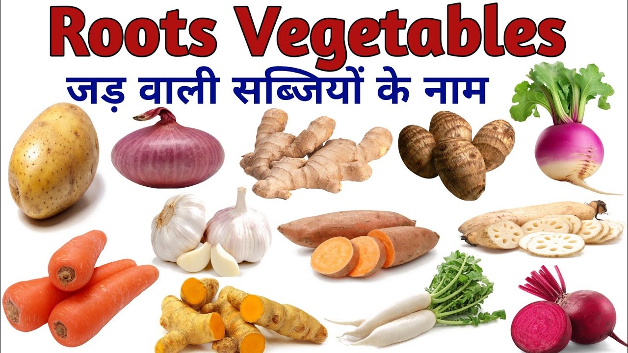 Vegetables name | सब्जियों के नाम | Root vegetable names |sabjiyon ke ...