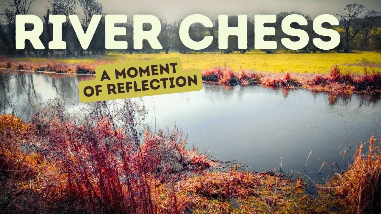 River Chess – A Moment of Reflection - YouTube