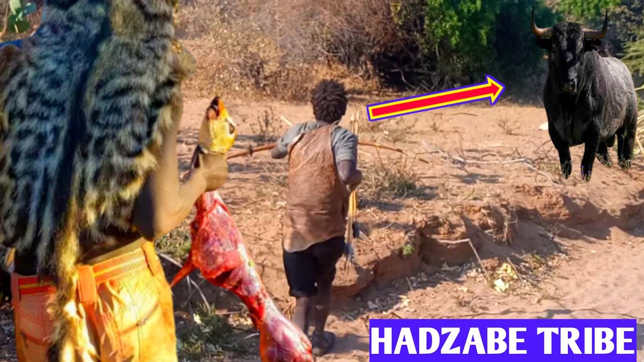 The Only Primitive communal Society Remaining In Tanzania (Hunting ...