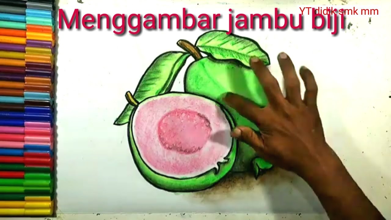 CARA MENGGAMBAR DAN MEWARNAI BUAH JAMBU BIJI - YouTube
