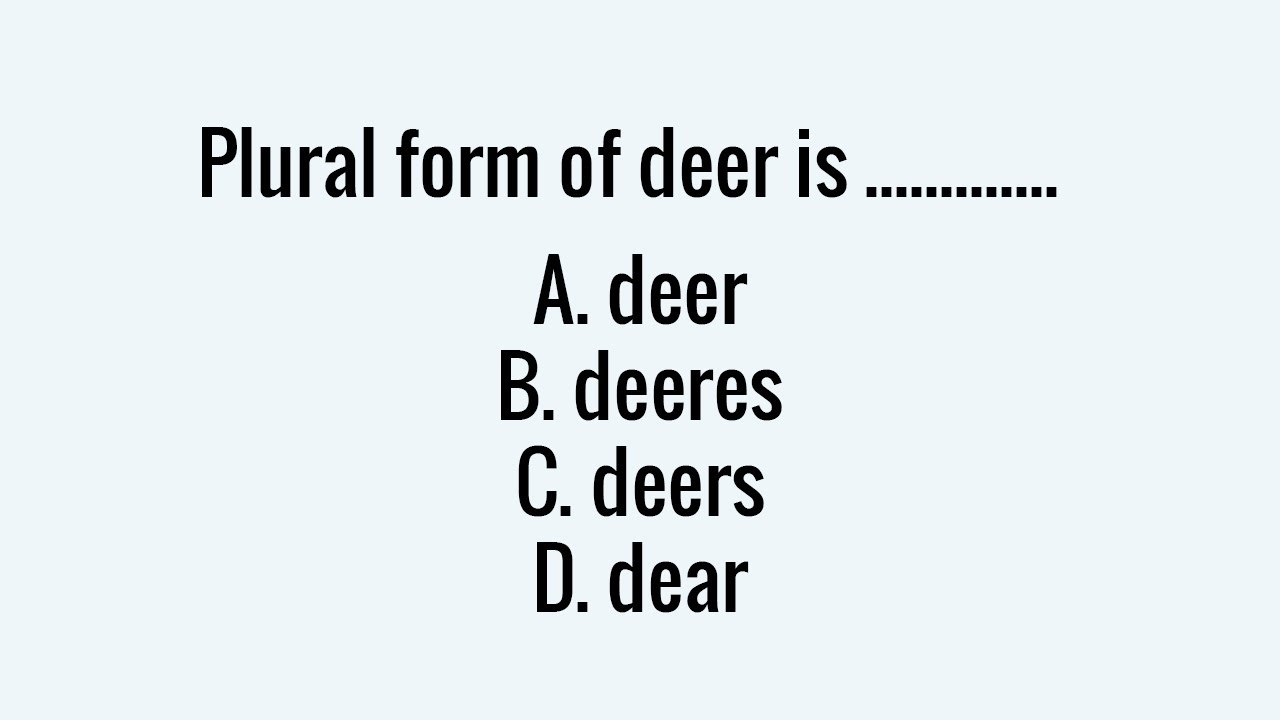 Plural Form Of Deer Is YouTube