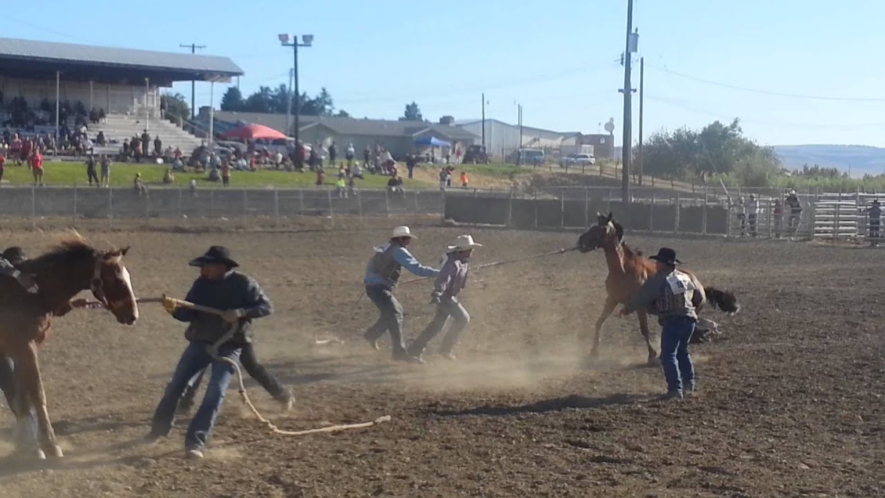 Treaty days Rodeo wild horse race 2013 - YouTube