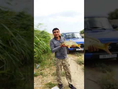 Salyan Yenikənd balıq ovumuz uğurlu oldu