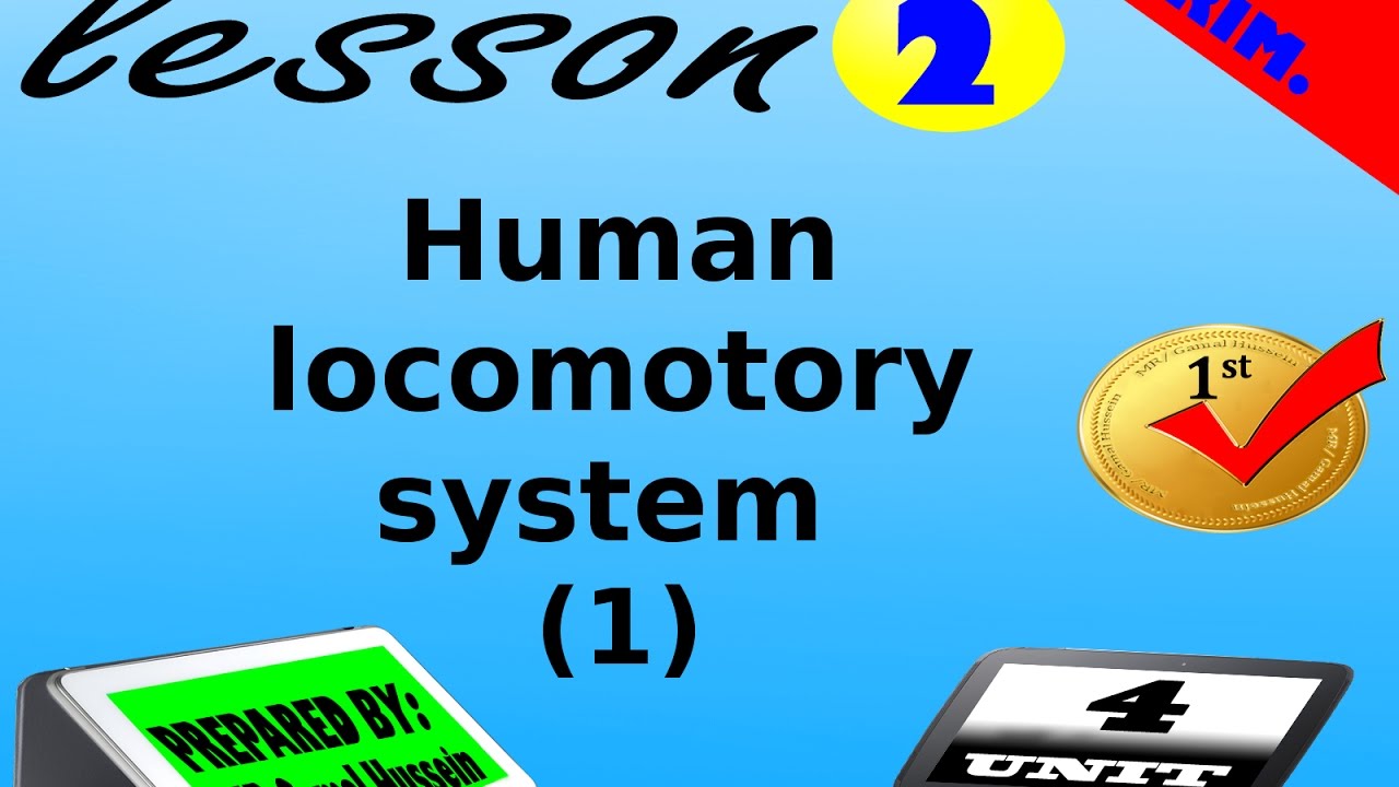 (51) Introduction to Human Locomotory System (Movement Definition ...