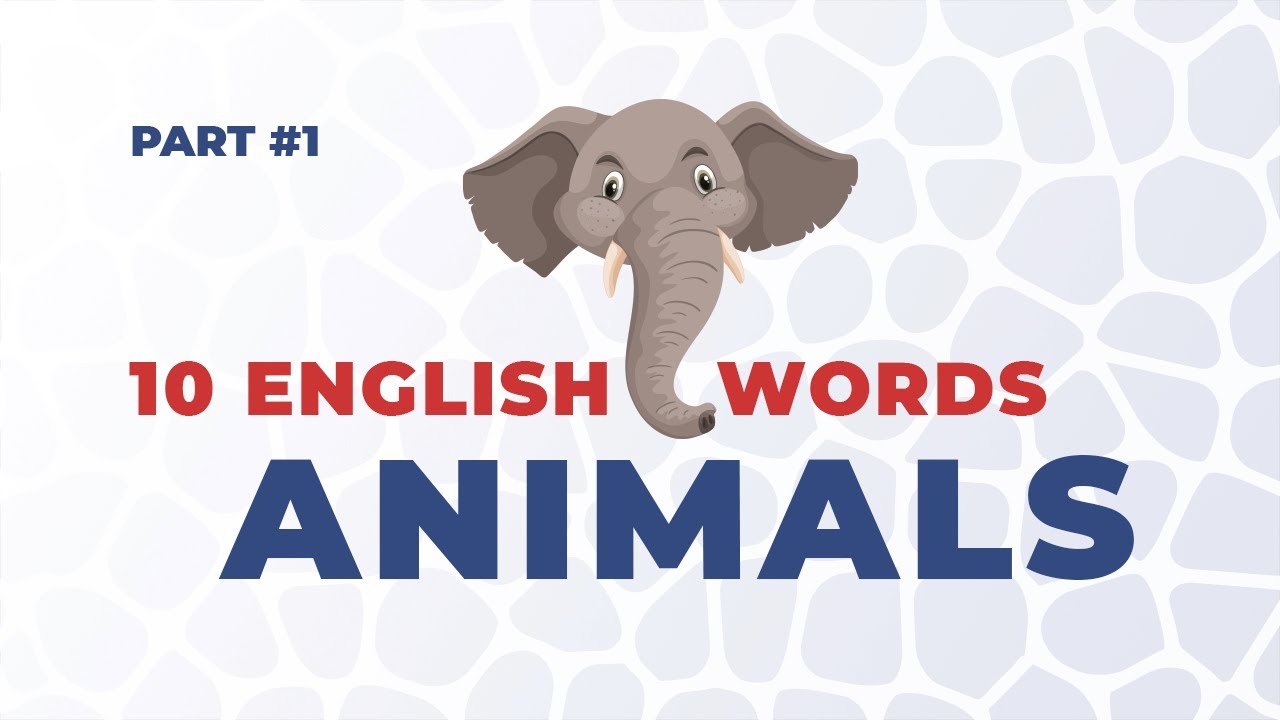 Learn 10 English Words for a minute - Wild animals vocabulary! - YouTube