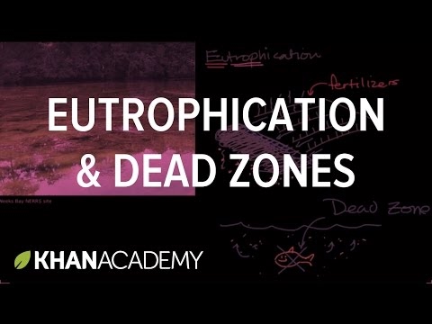 Eutrophication and dead zones | Ecology | Khan Academy - YouTube