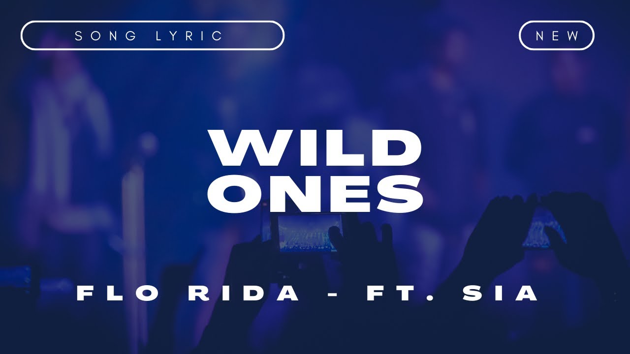 Wild Ones - Flo Rida ft Sia - Song Lyric - YouTube
