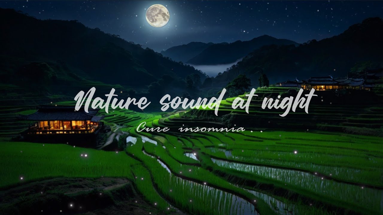 Crickets Chirping in the Quiet Night | Nighttime Ambience for ...