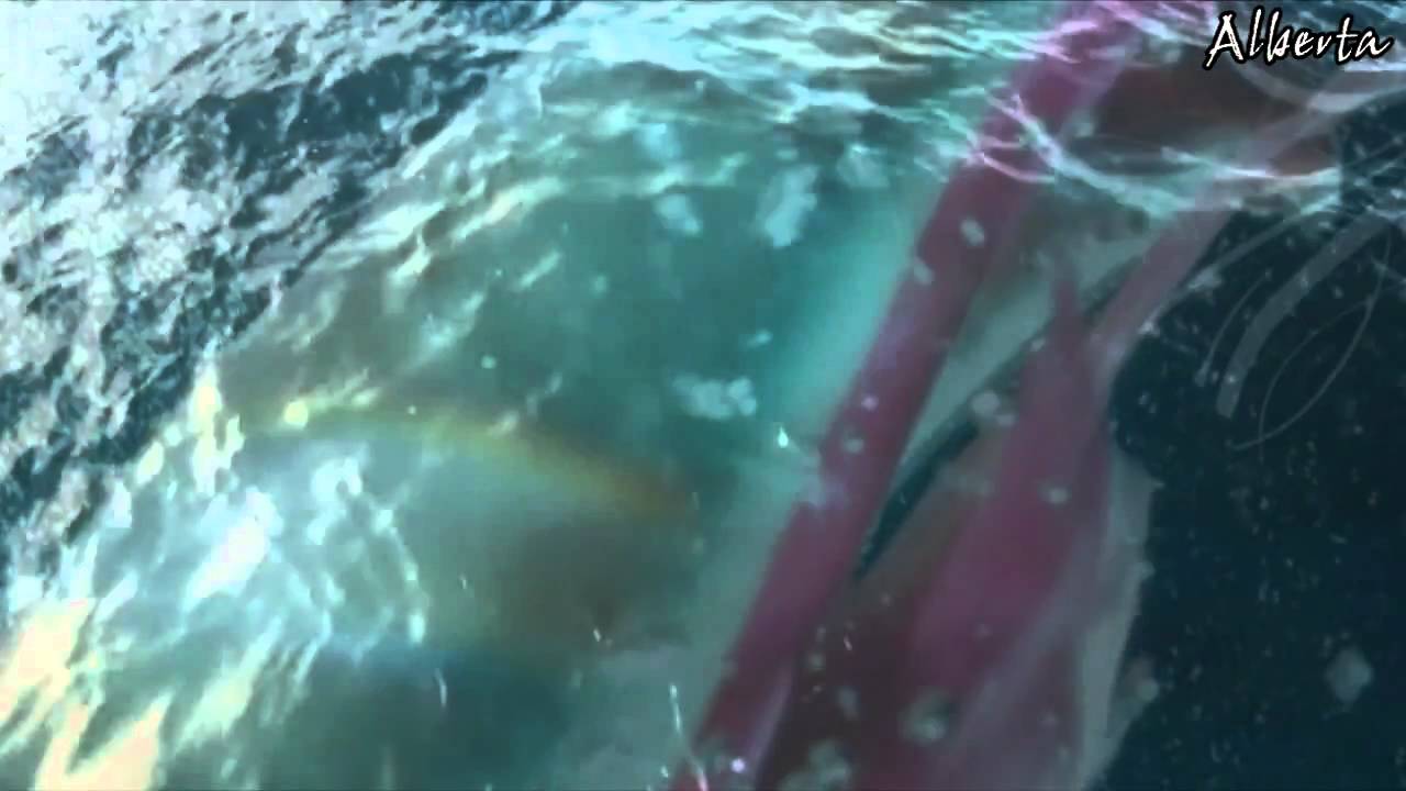 Purple Wave - YouTube