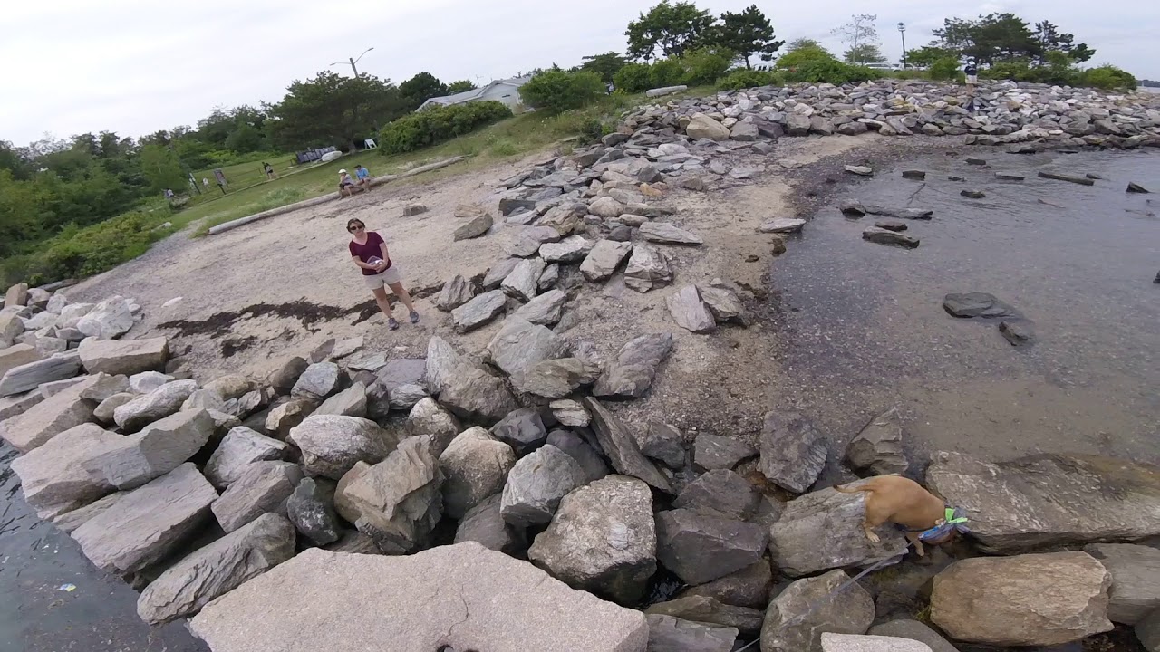 Falling on the Rocks at Eastern Promenade Portland Maine July 30 2018 ...