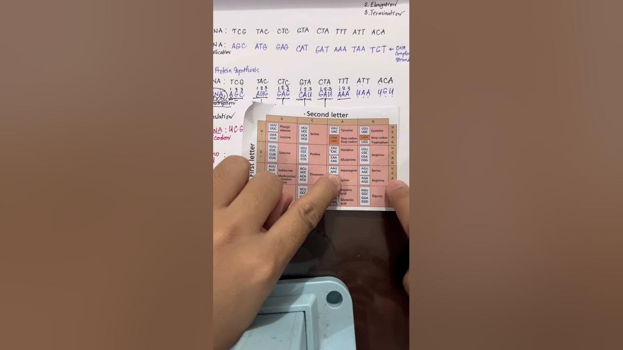 How to Use the Genetic Code Table? - YouTube