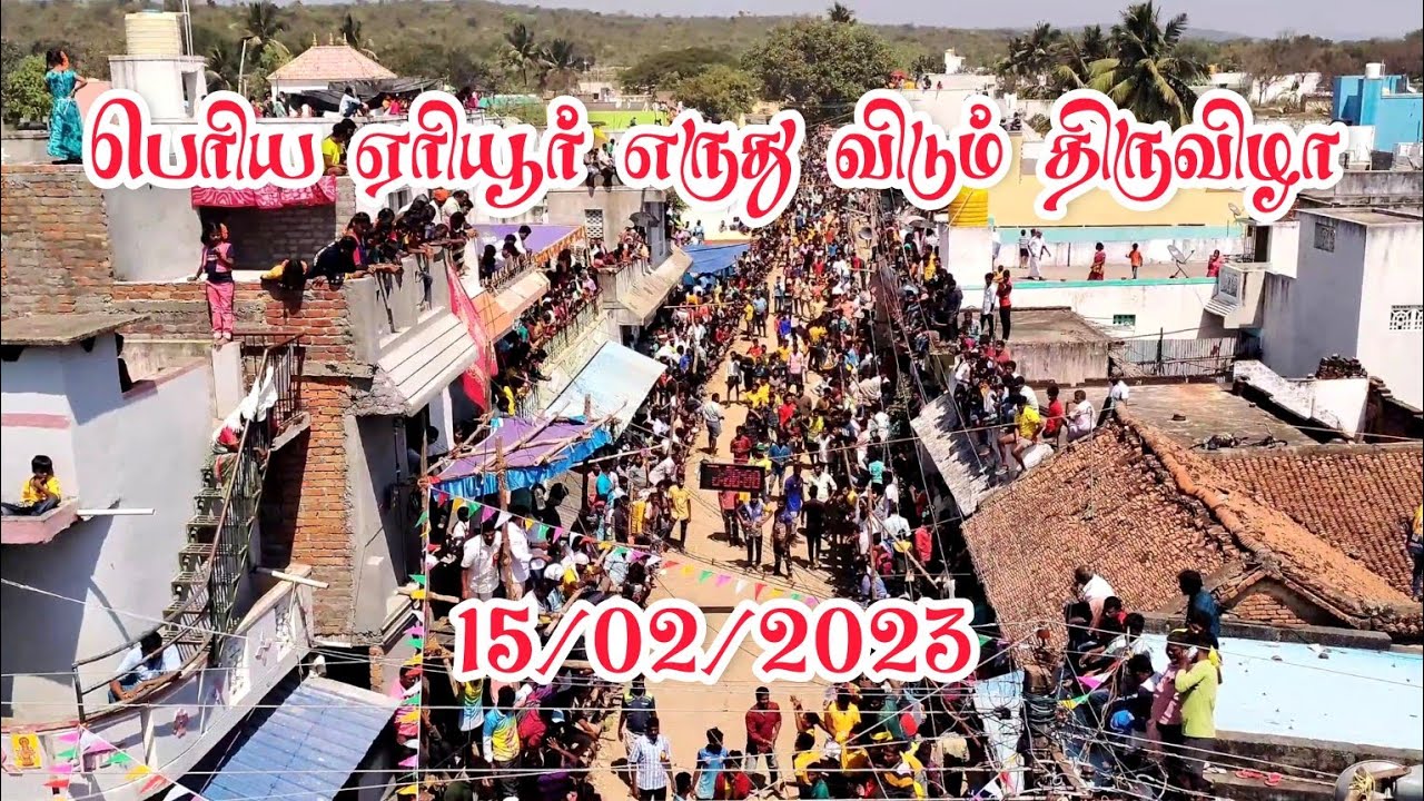Periya Eriyur Maadu Vidum Thiruvizha 15/02/2023 || பெரிய ஏரியூர் எருது ...